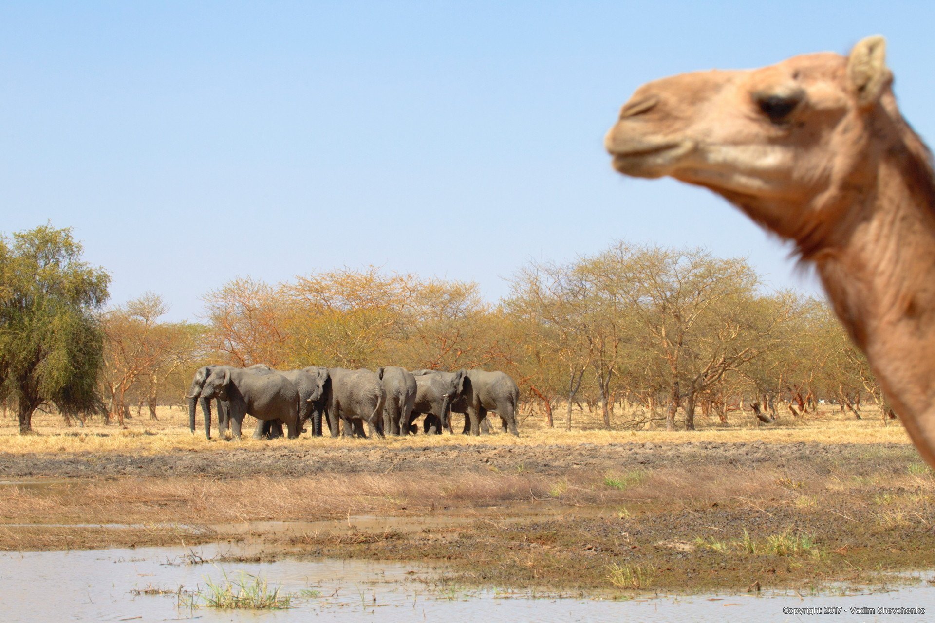 Mali Africa Photo Gallery - Vadim Shevchenko Photographer