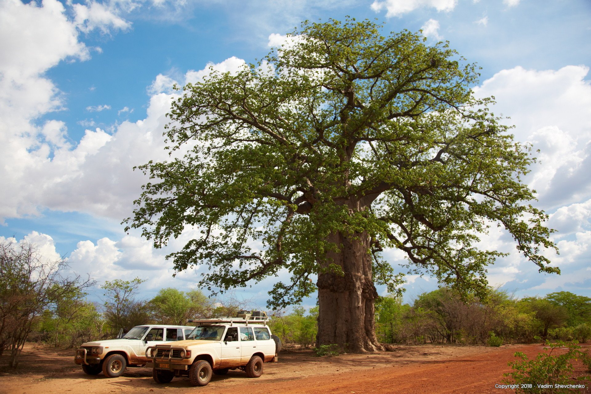 Angola Africa Photo Gallery - Vadim Shevchenko Photographer