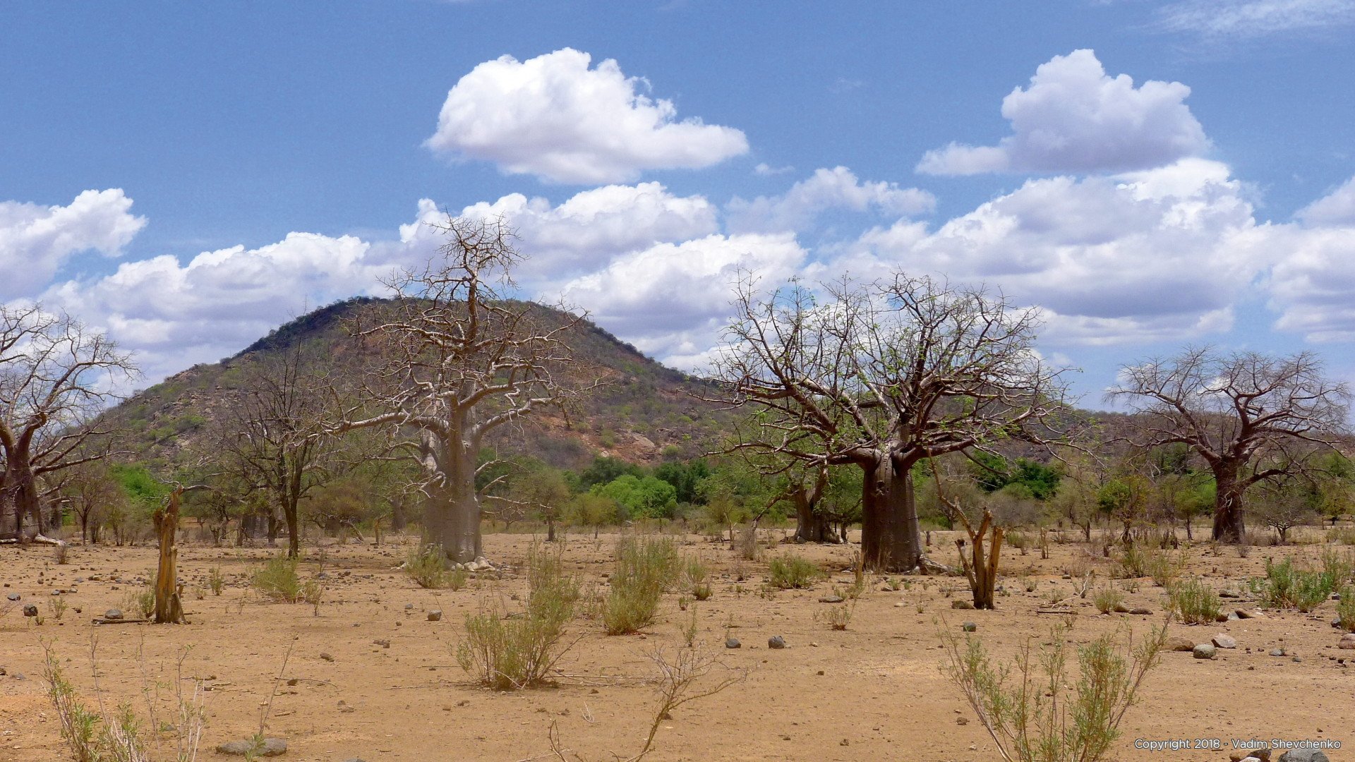 Angola Africa Photo Gallery - Vadim Shevchenko Photographer
